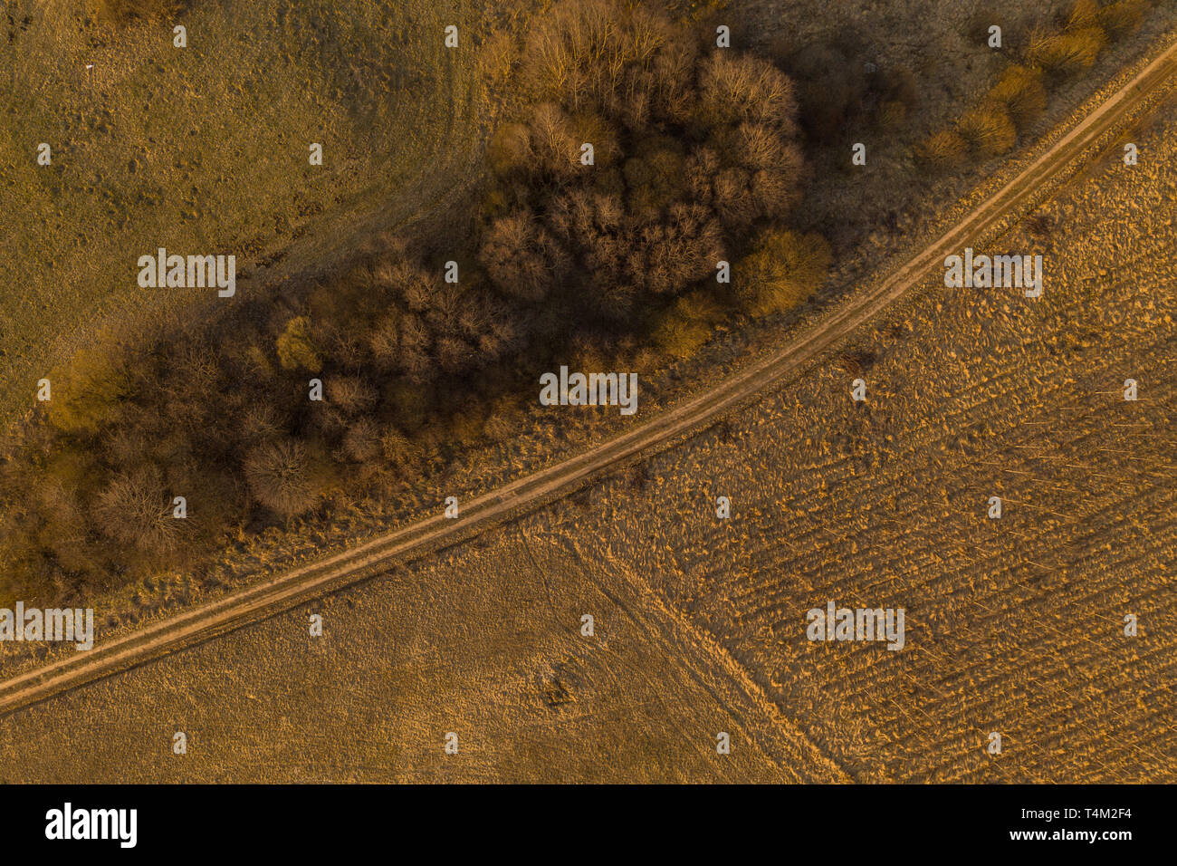 Drone view dirt road and forest during spring sunny day. Drone ...