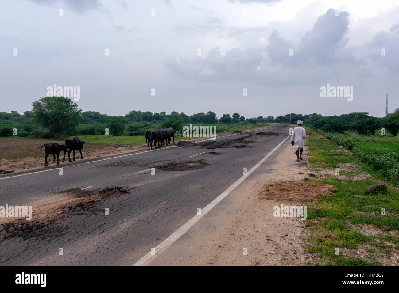 Peasant walking along a road with lots potholes hi-res stock ...