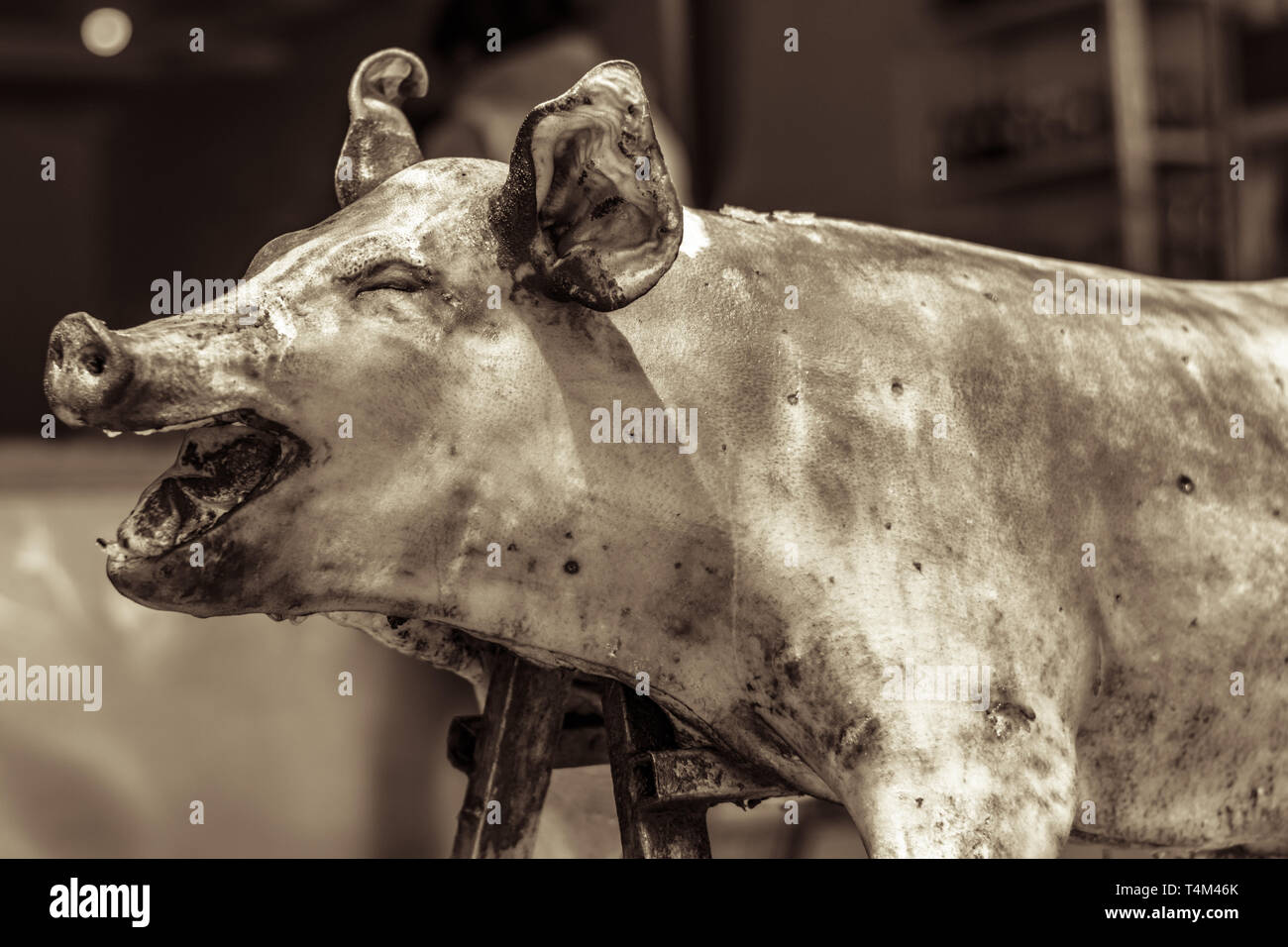 Sad meat hi-res stock photography and images - Alamy