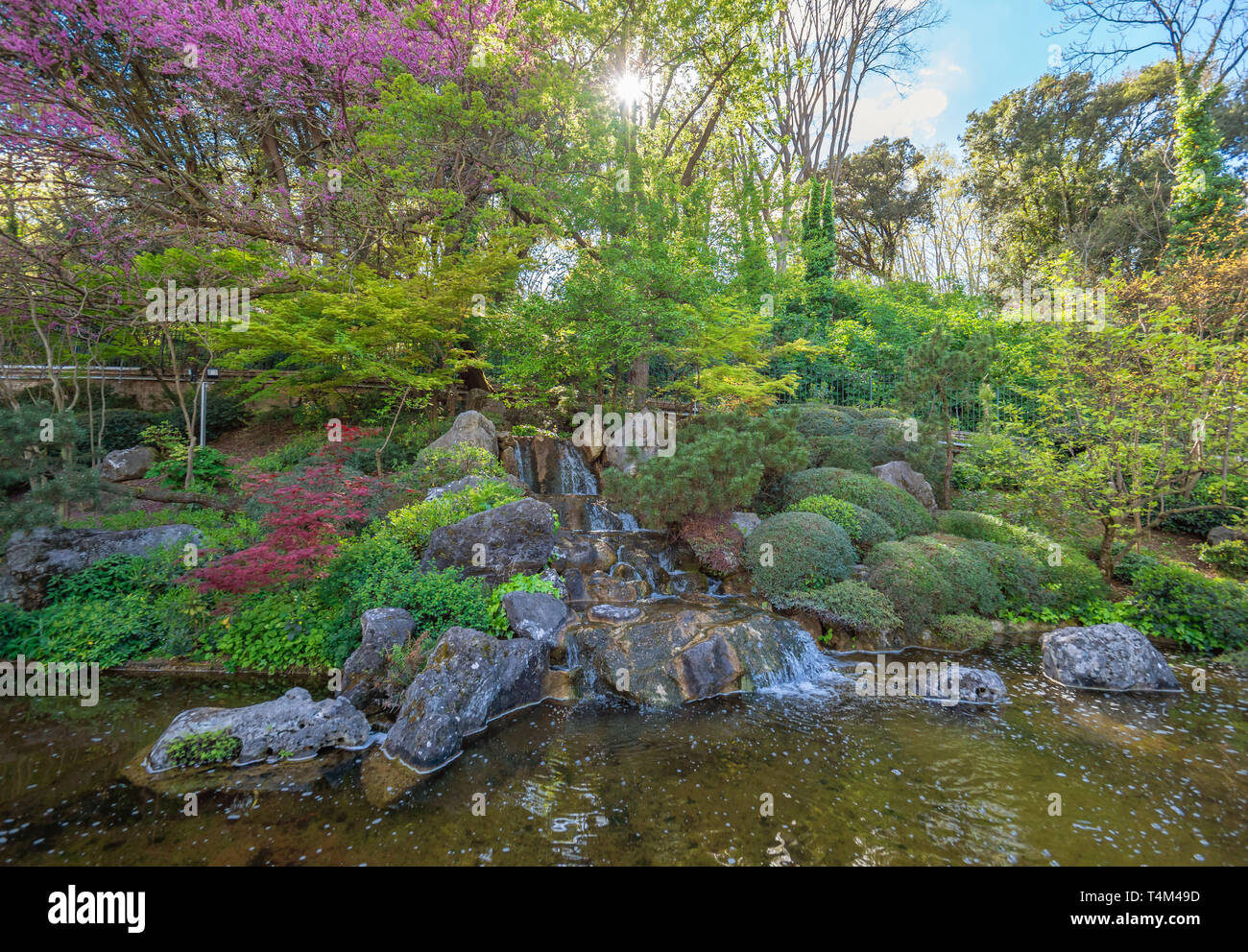 Rome (Italy) - The Botanical Garden in Trastevere is a lush university ...