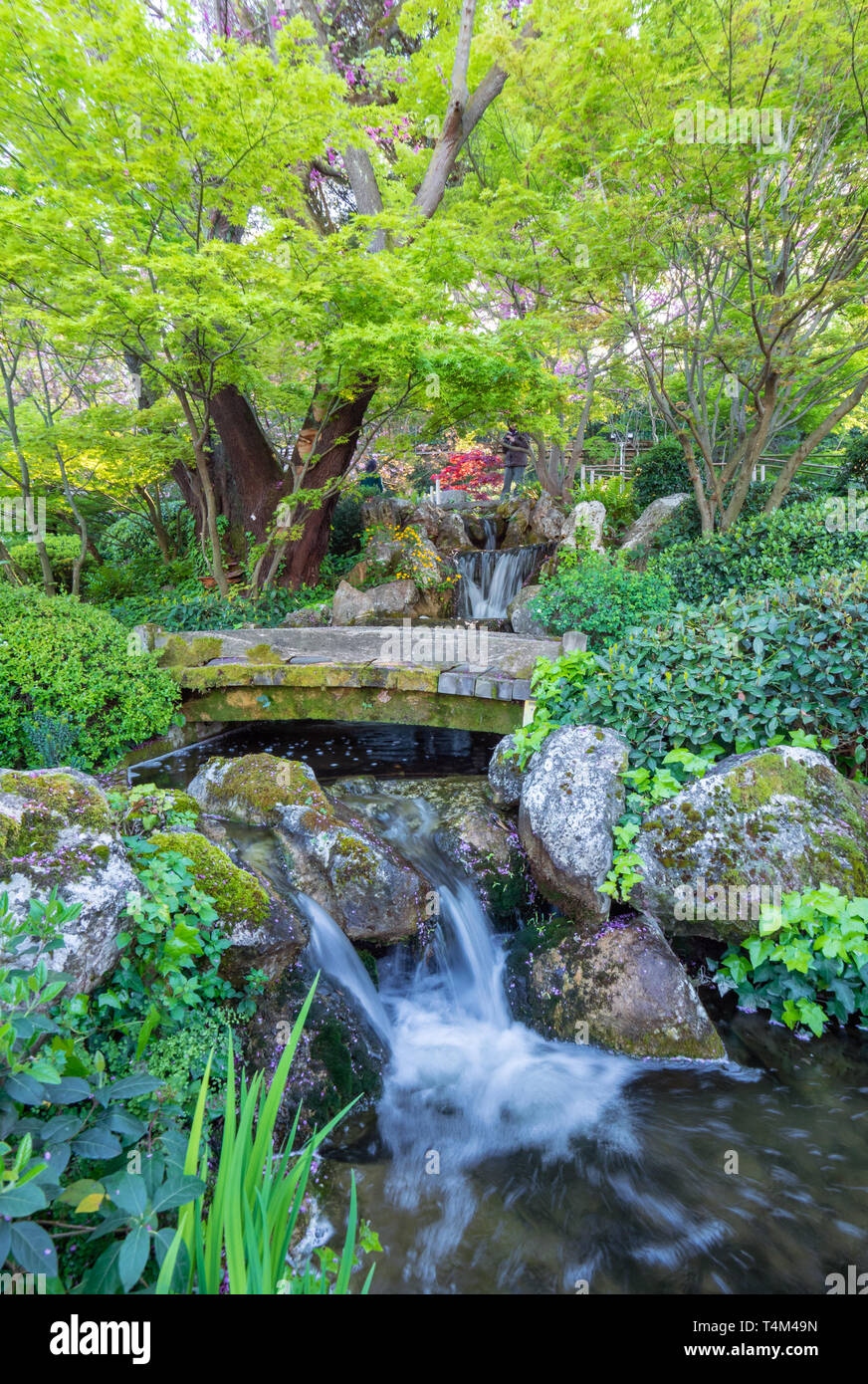Rome (Italy) - The Botanical Garden in Trastevere is a lush university ...