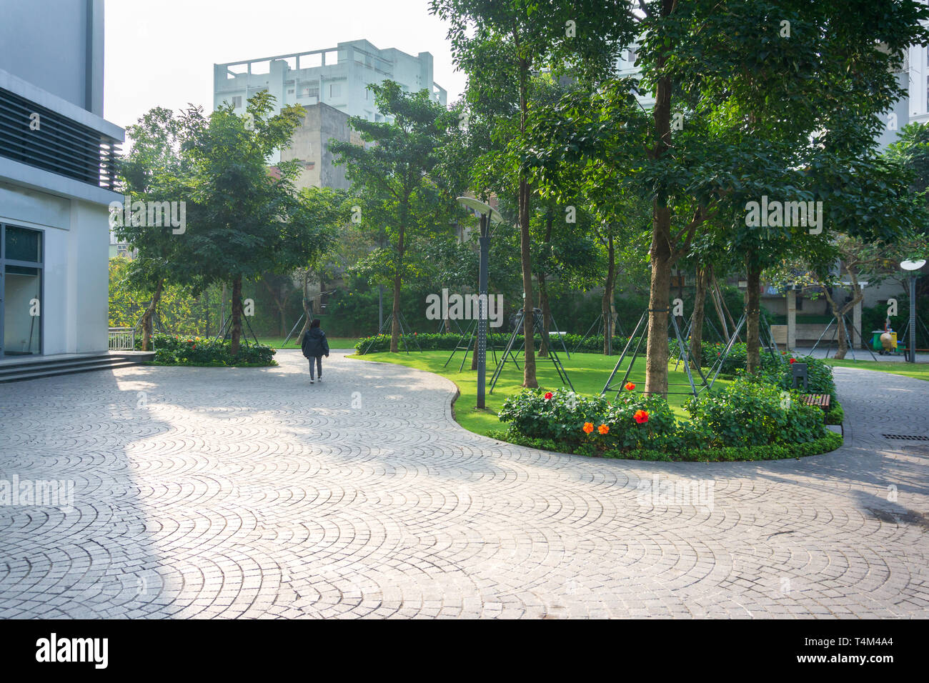 Big tree hanoi hi-res stock photography and images - Alamy