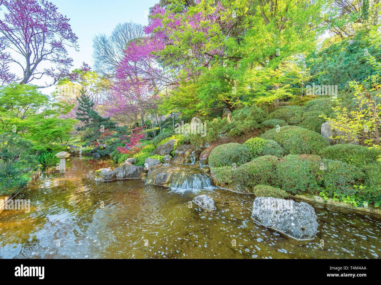 Rome (Italy) - The Botanical Garden in Trastevere is a lush university ...