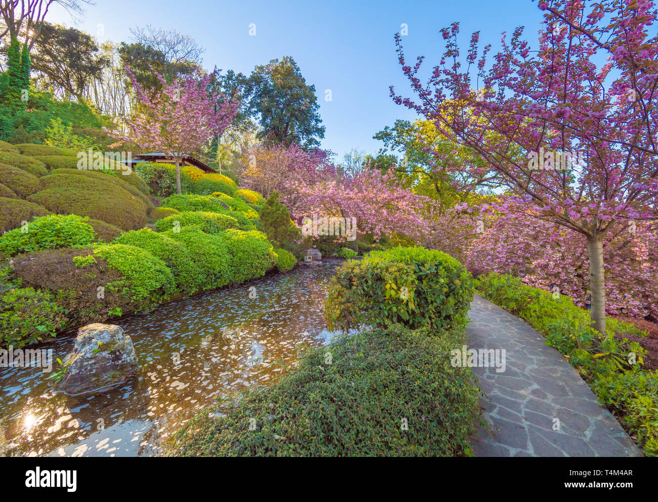 Rome (Italy) - The Botanical Garden in Trastevere is a lush university ...