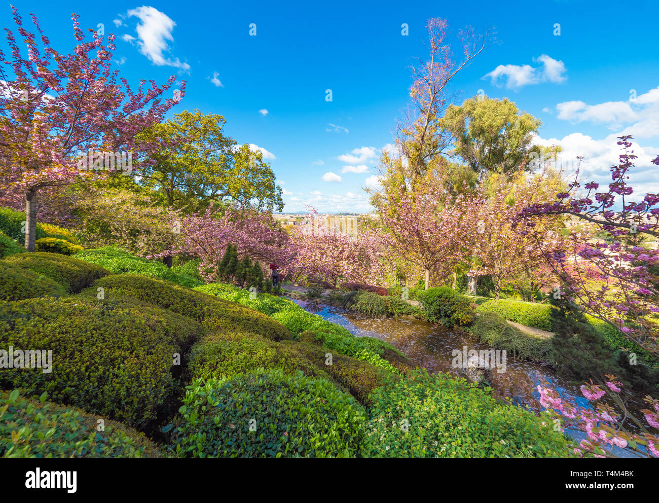 Rome (Italy) - The Botanical Garden in Trastevere is a lush university ...