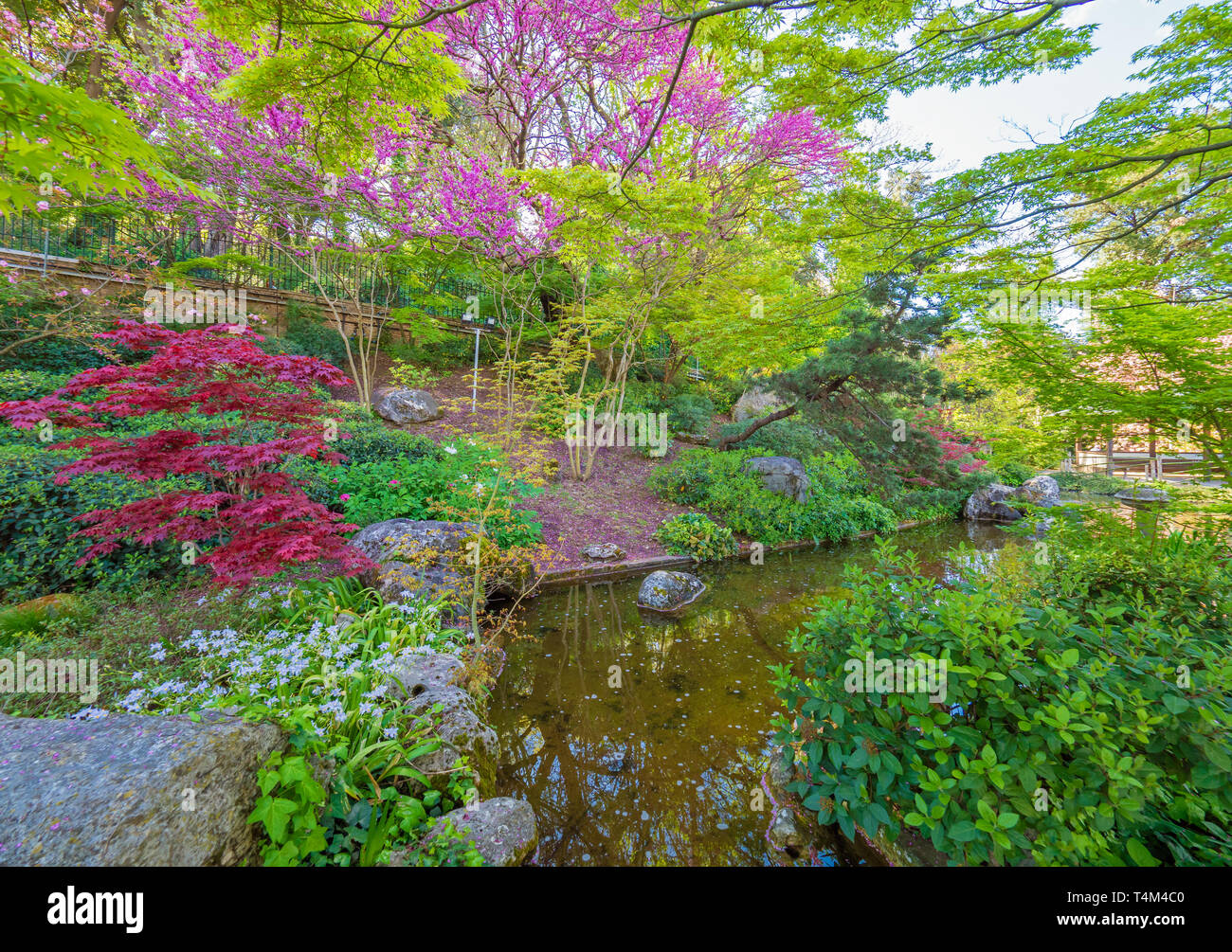 Rome (Italy) - The Botanical Garden in Trastevere is a lush university ...