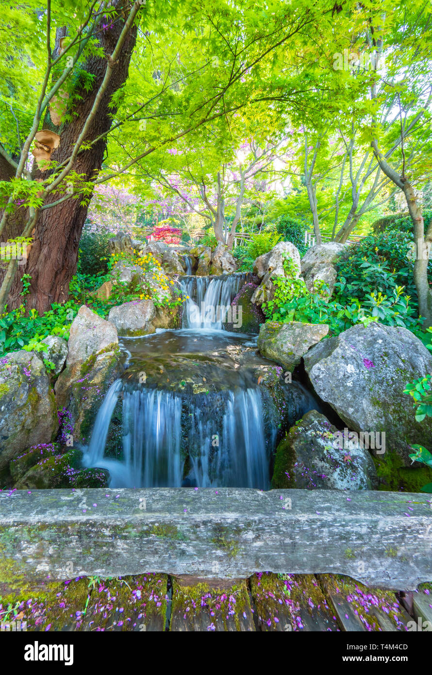 Rome (Italy) - The Botanical Garden in Trastevere is a lush university ...