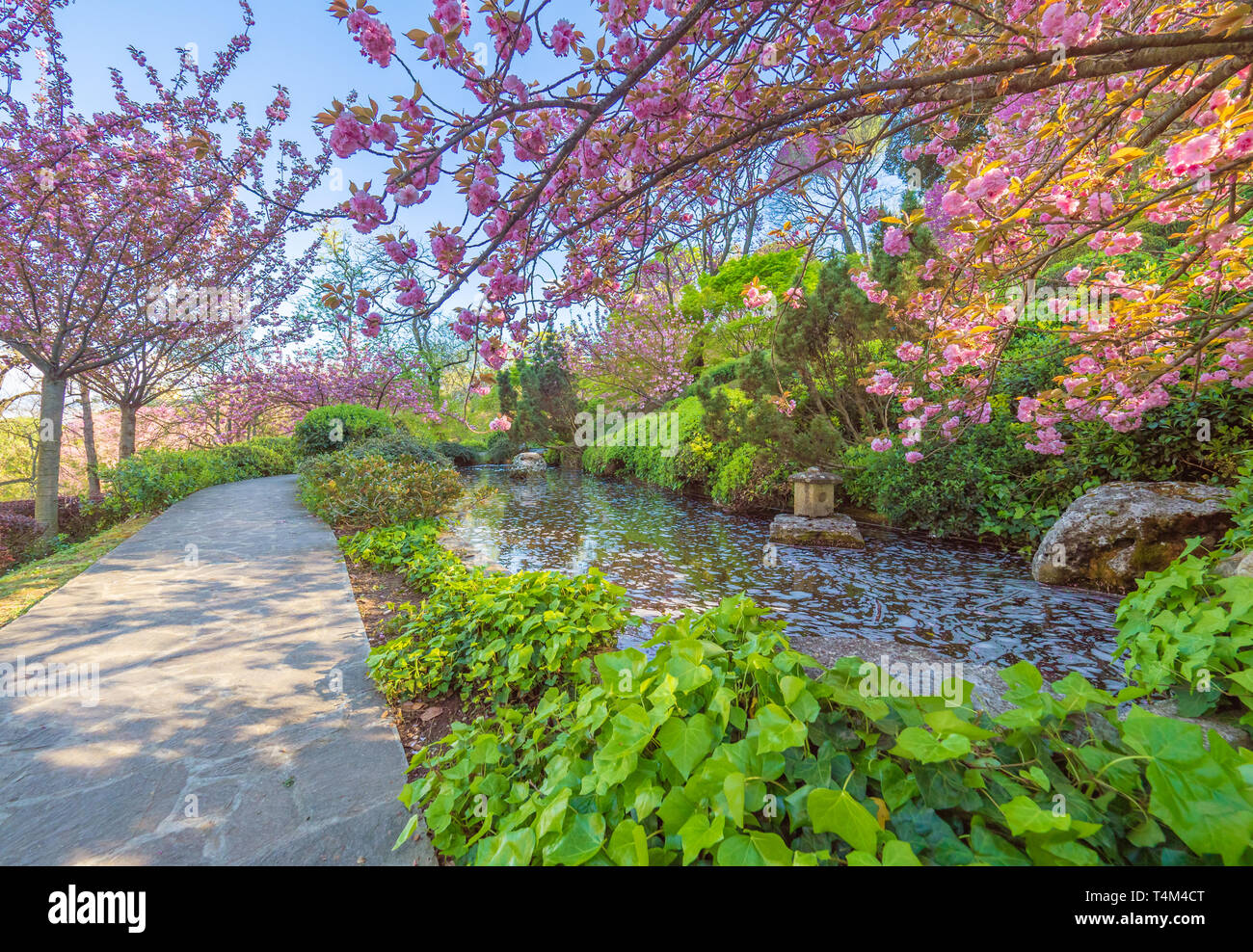 Rome (Italy) - The Botanical Garden in Trastevere is a lush university ...
