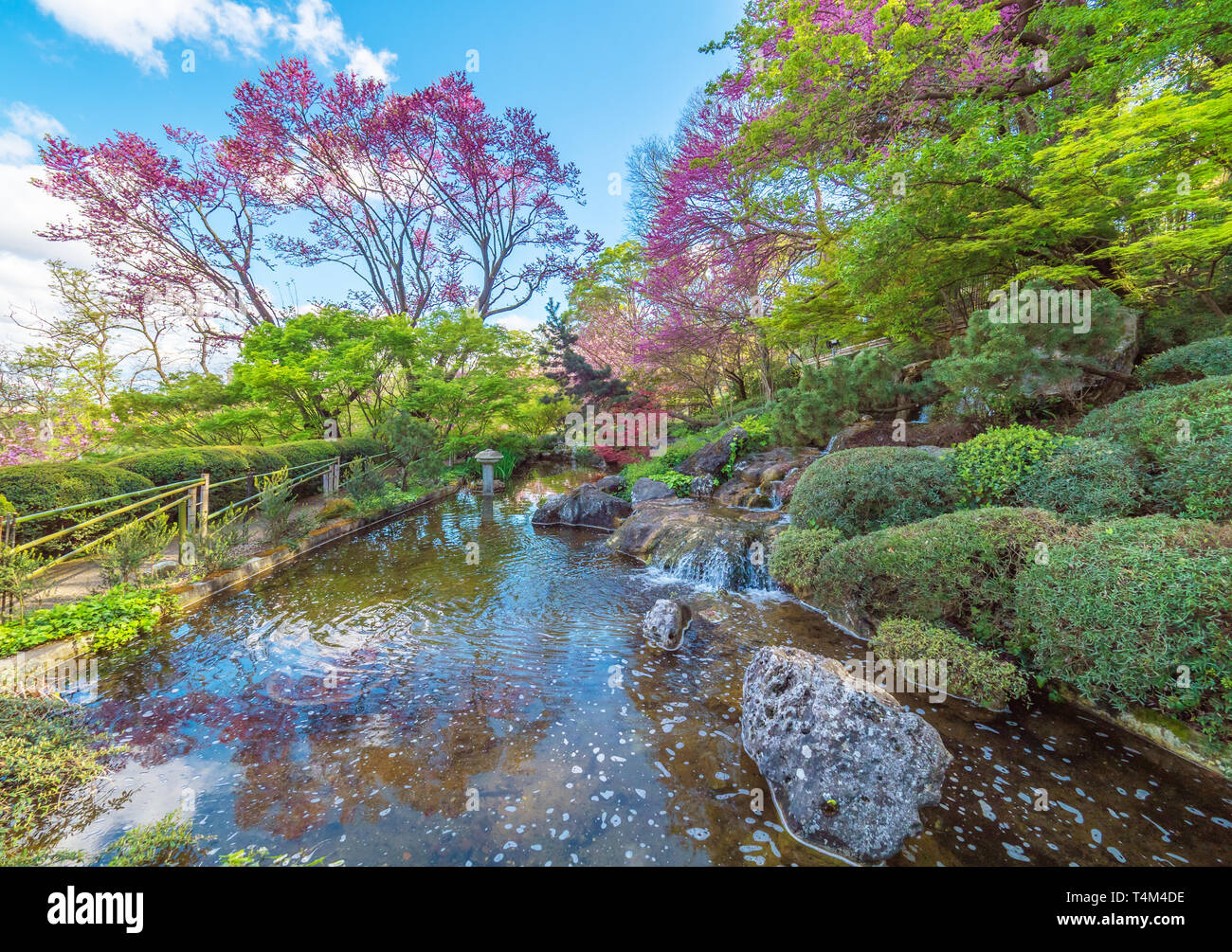 Rome (Italy) - The Botanical Garden in Trastevere is a lush university ...