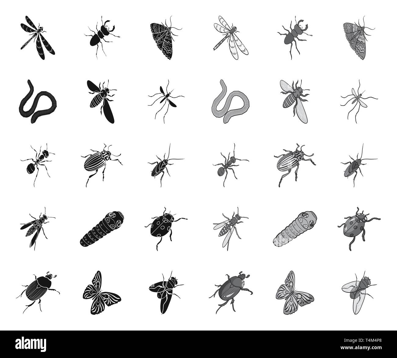 animal,ant,arthropod,bee,beetle,black.mono,bloodsucker,butterfly ...