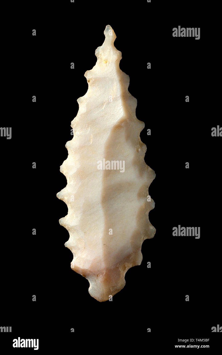 Neolithic arrowhead hi-res stock photography and images - Alamy
