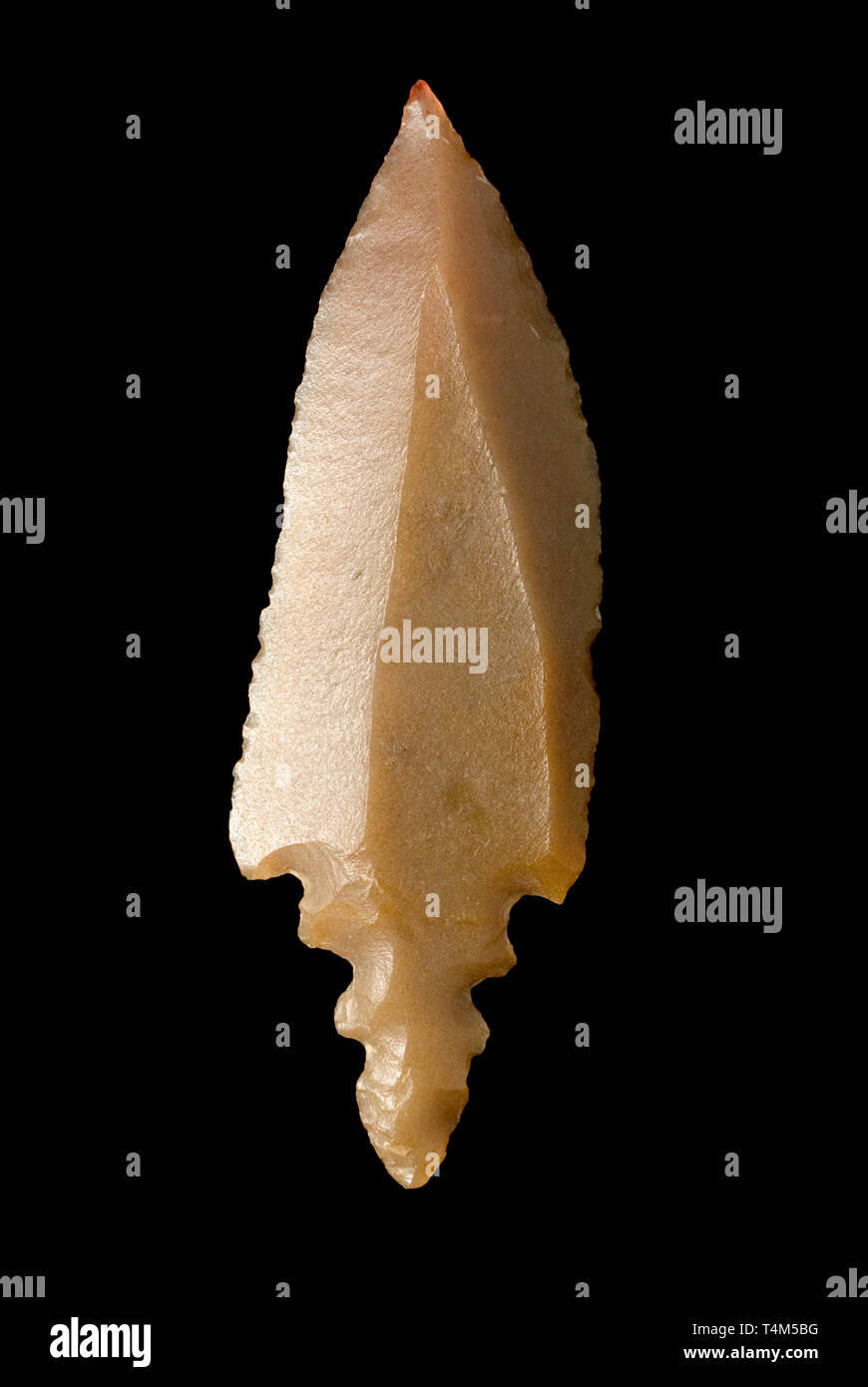 Neolithic arrowhead hi-res stock photography and images - Alamy