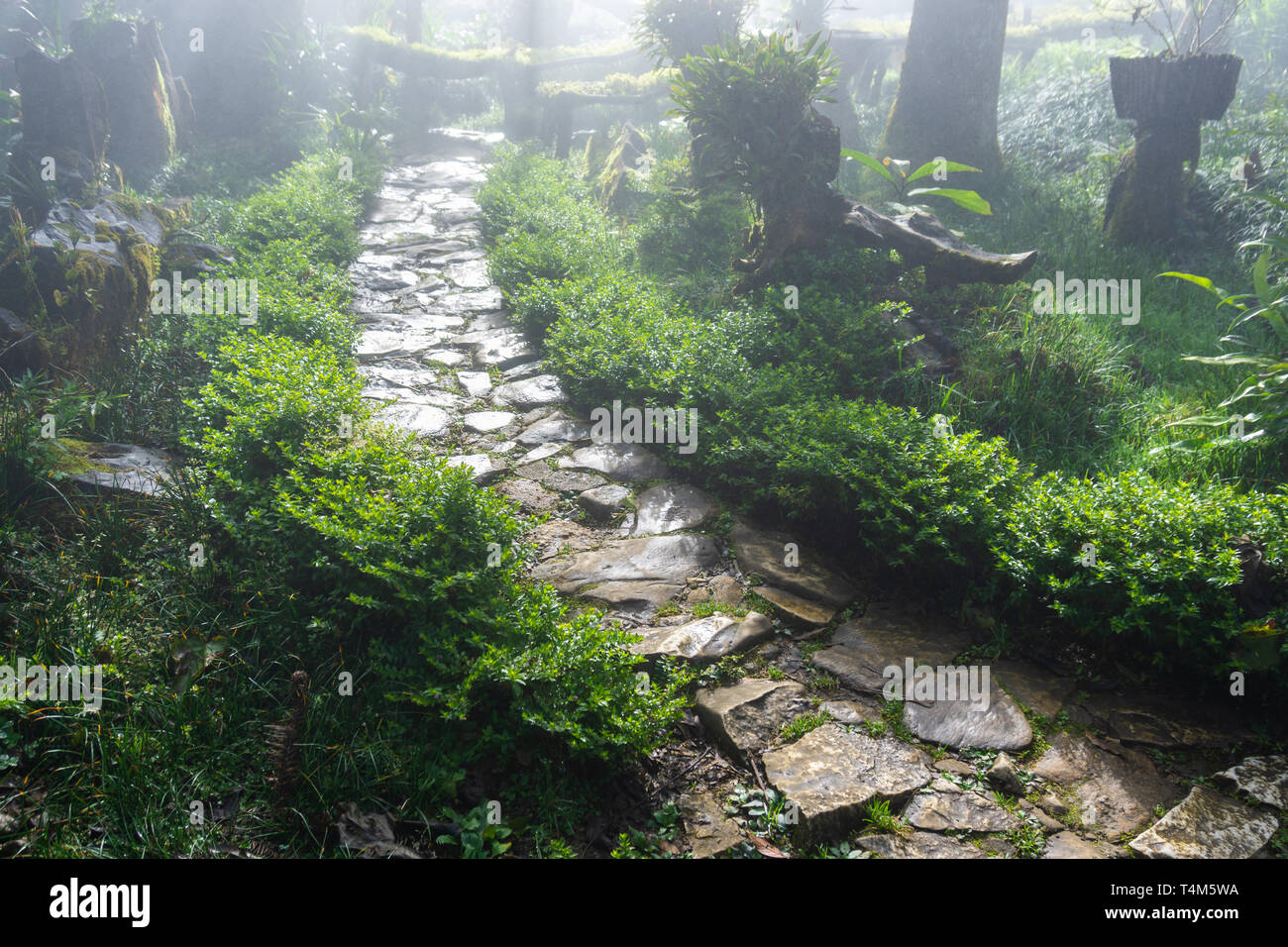 Scenery faint light hi-res stock photography and images - Alamy
