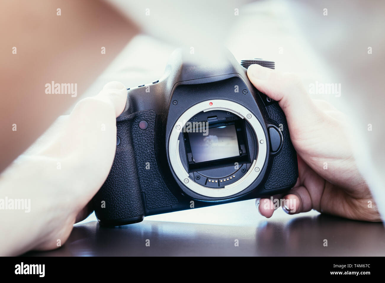 Hands of a photographer are touching a professional reflex camera, open ...