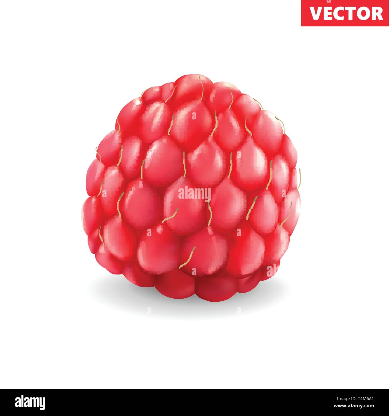 Raspberry. Sweet fruit. 3d vector icon Realistic Stock Vector Image ...