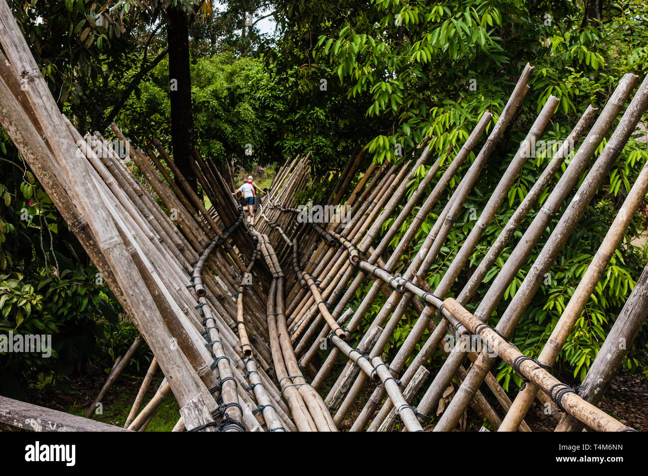 The Bidayuh bamboo bridge, Sarawak, Malaysia Stock Photo - Alamy
