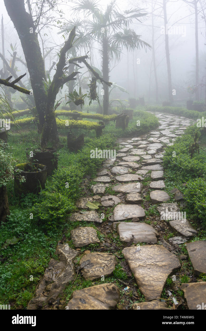Serene garden path made hi-res stock photography and images - Alamy