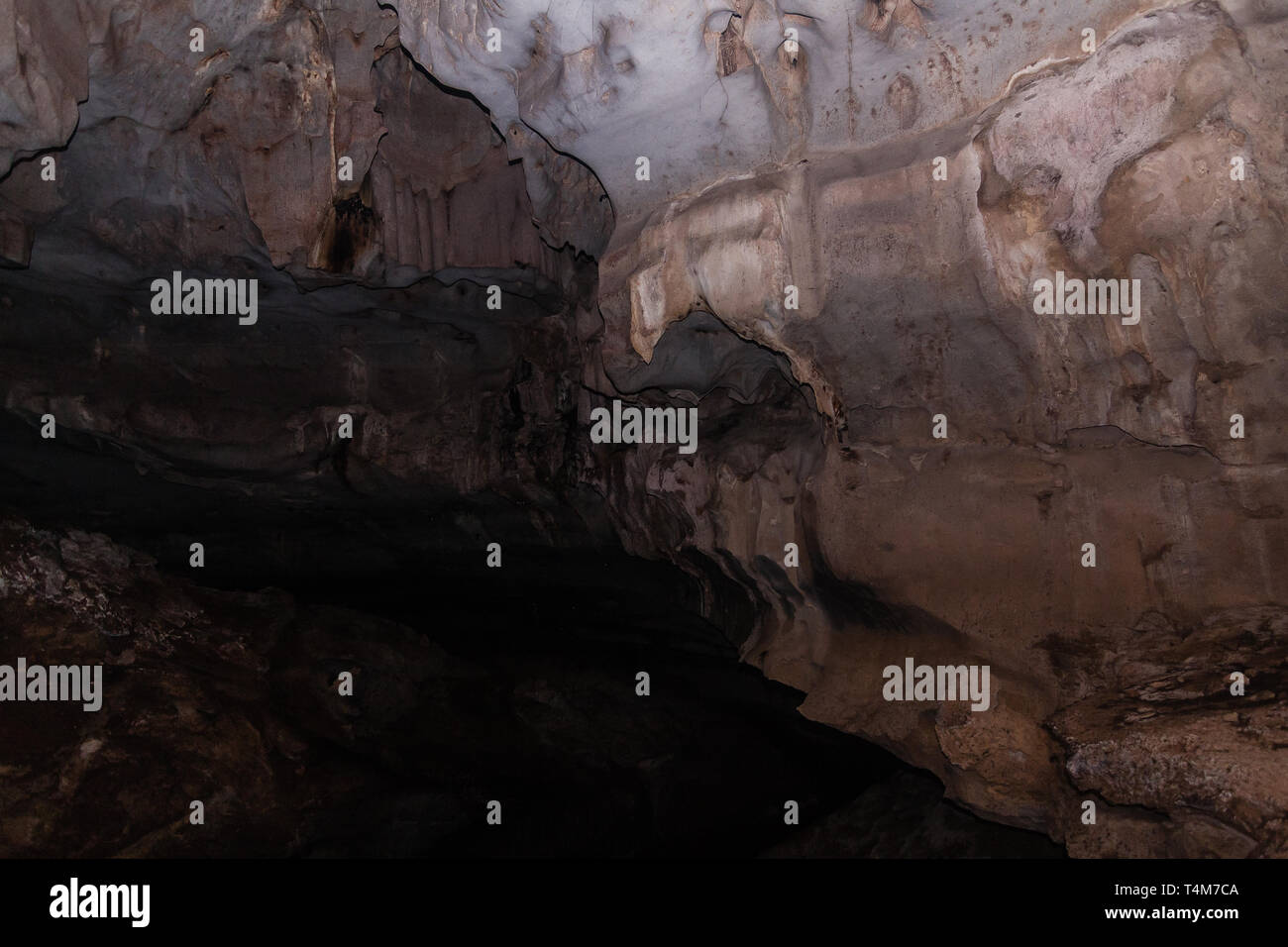 Inside of the Wind Cave near Kuching, Sarawak, Borneo Stock Photo - Alamy