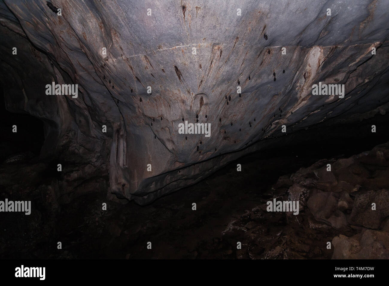 Inside of the Wind Cave near Kuching, Sarawak, Borneo Stock Photo - Alamy