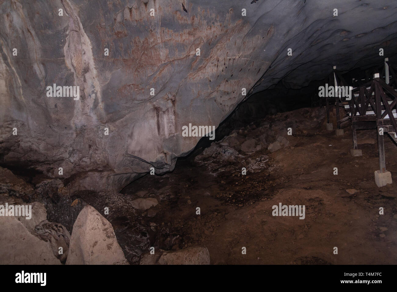 Inside of the Wind Cave near Kuching, Sarawak, Borneo Stock Photo - Alamy