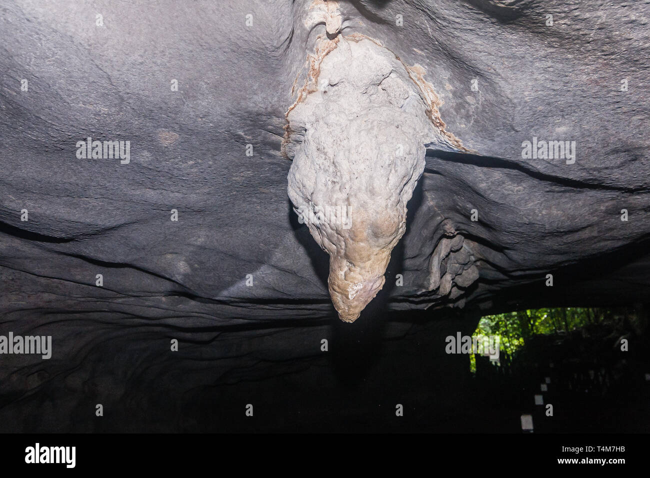 Inside of the Wind Cave near Kuching, Sarawak, Borneo Stock Photo - Alamy