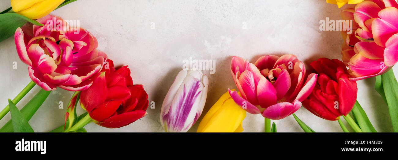 Happy birthday spring flowers hi-res stock photography and images - Alamy