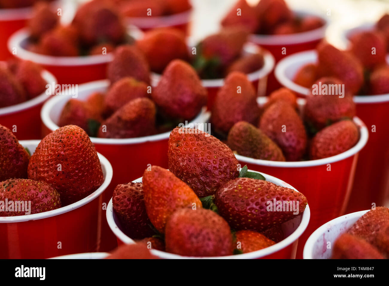 Cups in a row hi-res stock photography and images - Alamy