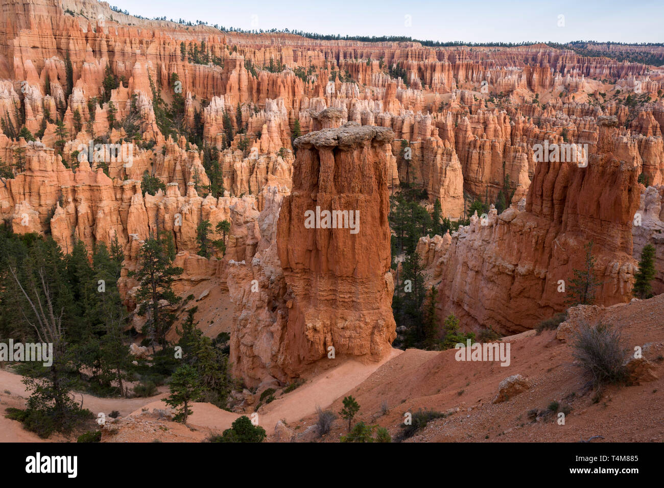 horse footprints on trail in bryce canyon landscape in the united ...