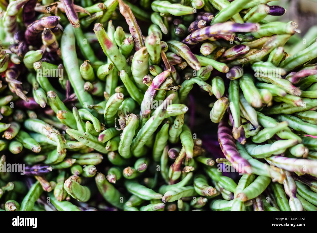 Market beans mexico hi-res stock photography and images - Alamy