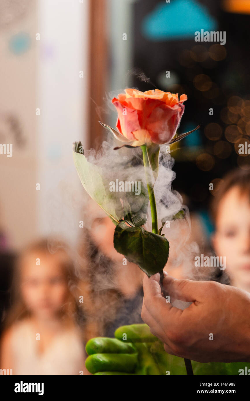 Rose in liquid nitrogen hi-res stock photography and images - Alamy