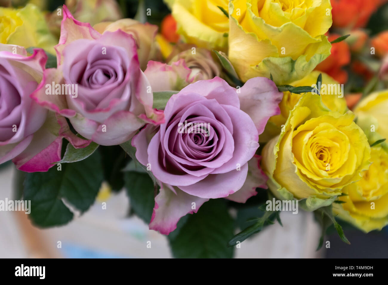 Top down view bouquet roses hi-res stock photography and images - Alamy