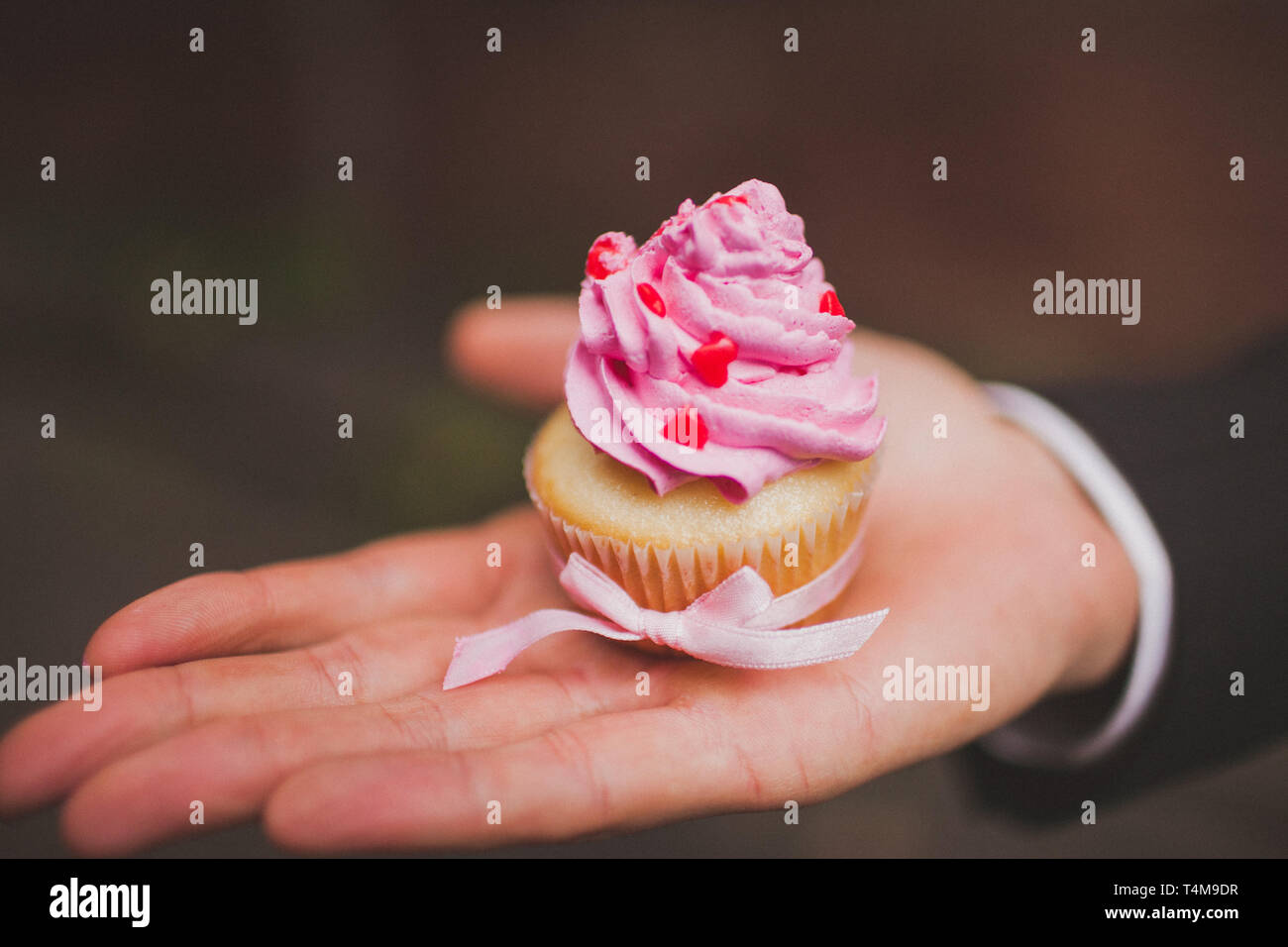 Hand holding cake hi-res stock photography and images - Alamy