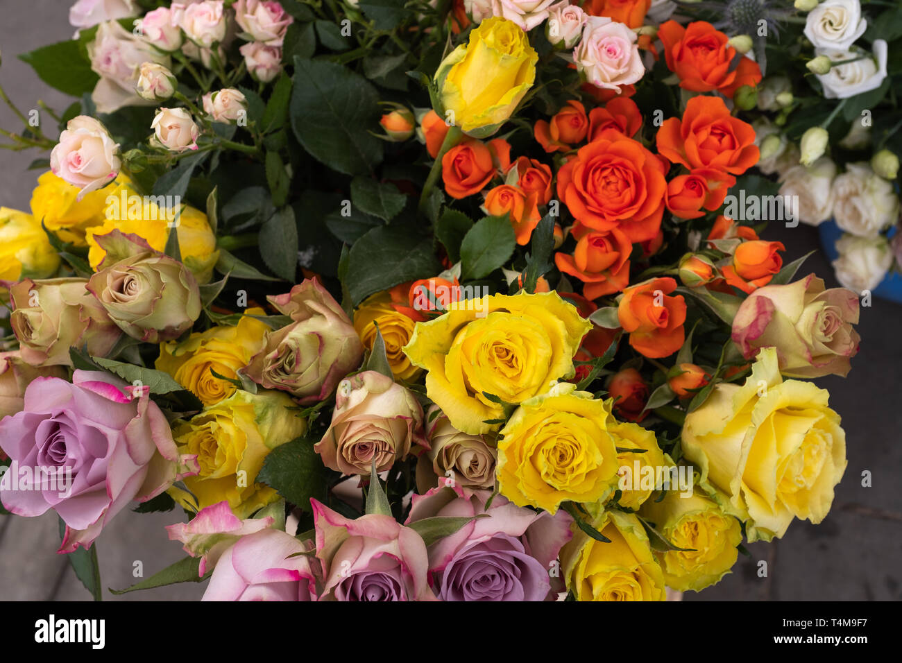 Bunches of pink roses hi-res stock photography and images - Alamy