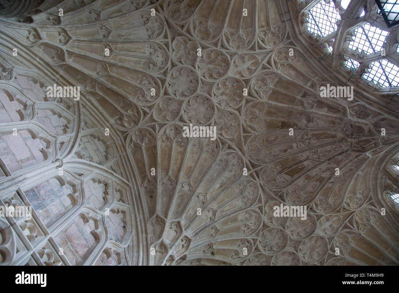 Ceiling gloucester cathedral hi-res stock photography and images - Alamy