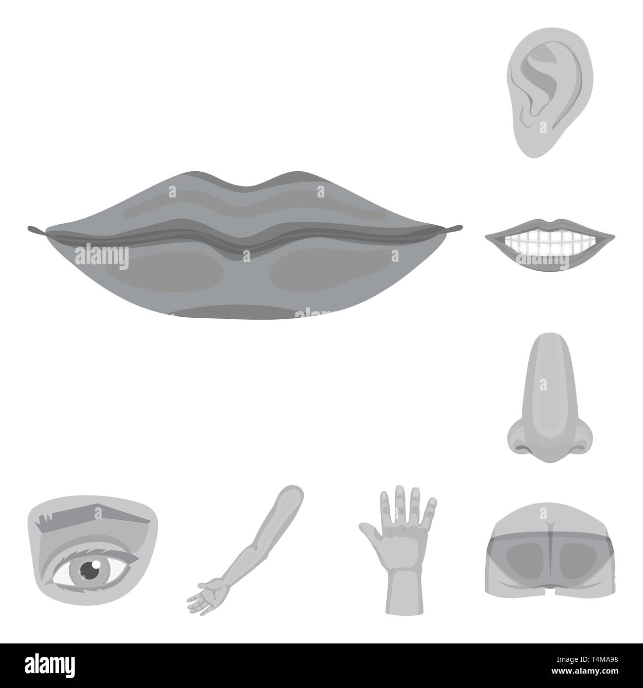 Vector design of body and part icon. Collection of body and anatomy ...