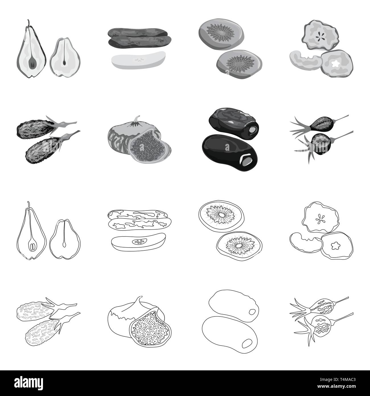 Vector illustration of food and raw icon. Set of food and nature vector ...