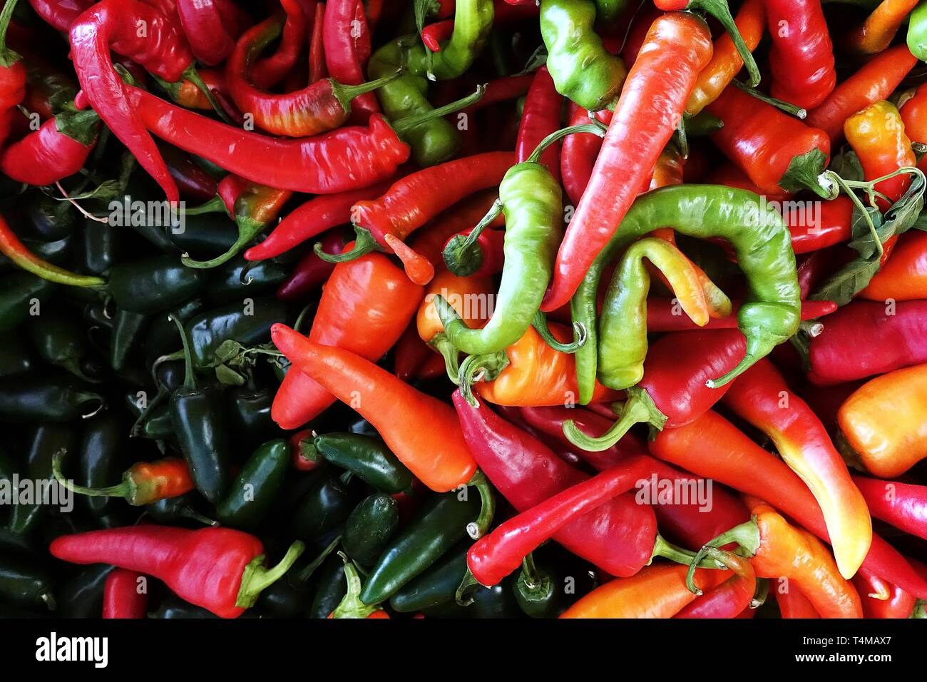 Mixed color of chili, widely used in many cuisines as a spice to add ...