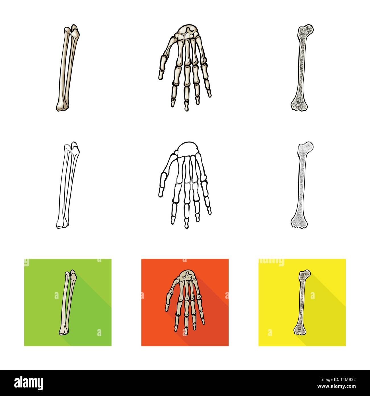 femur,wrist,hand,bony,leg,calcium,knee,structure,tibia,arm,fibula ...