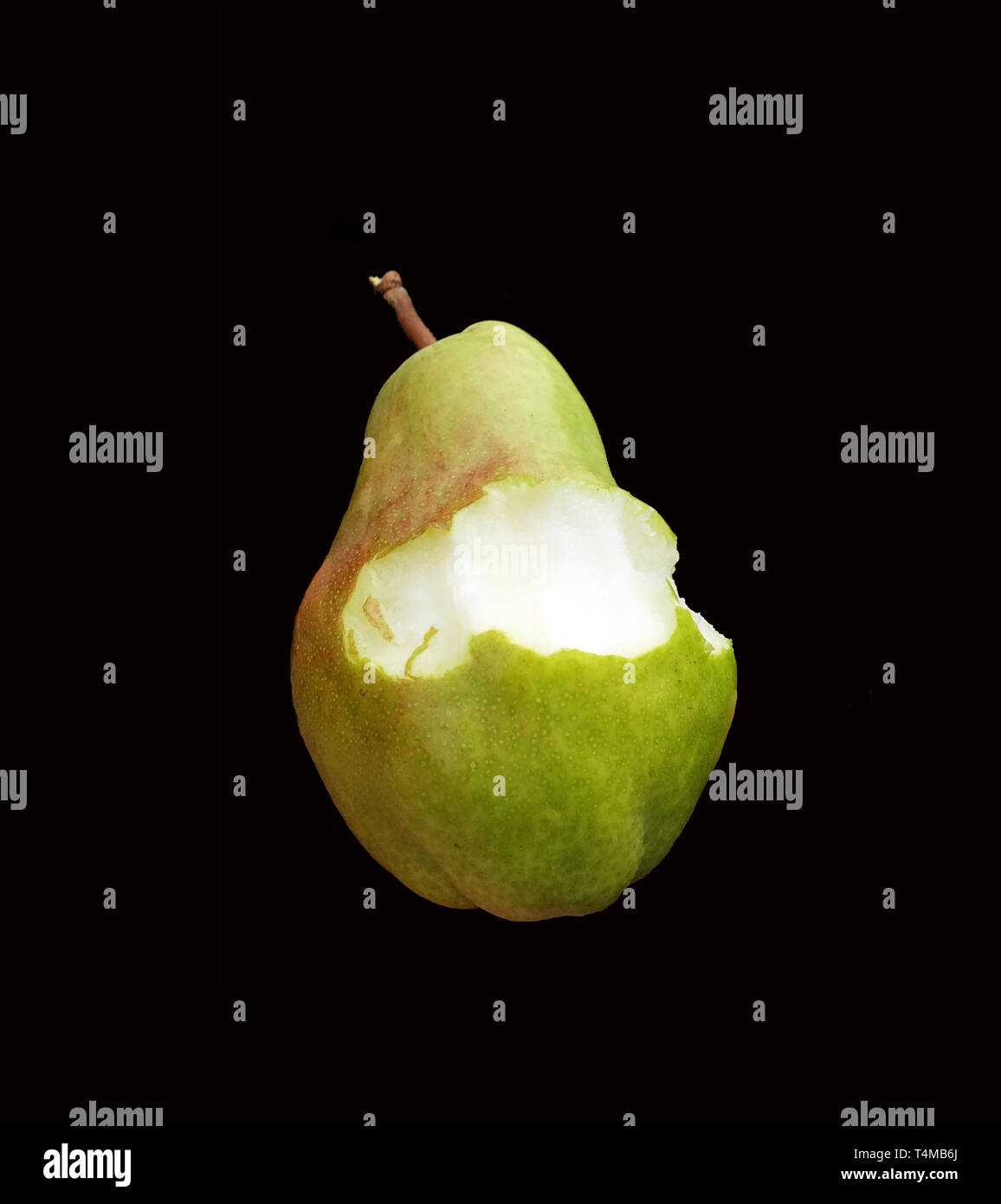 A green pear, species of genus Pyrus in the family Rosaceae, bearing ...