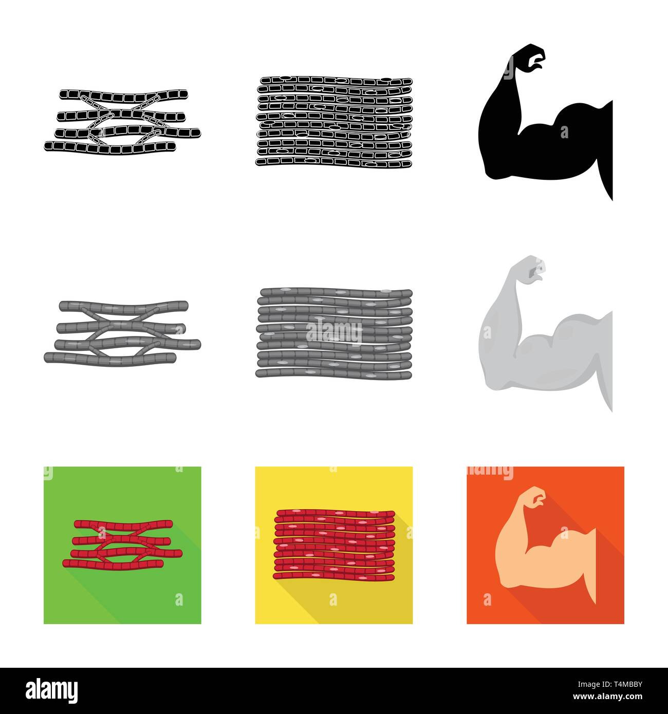 Vector design of fiber and muscular logo. Collection of fiber and body ...