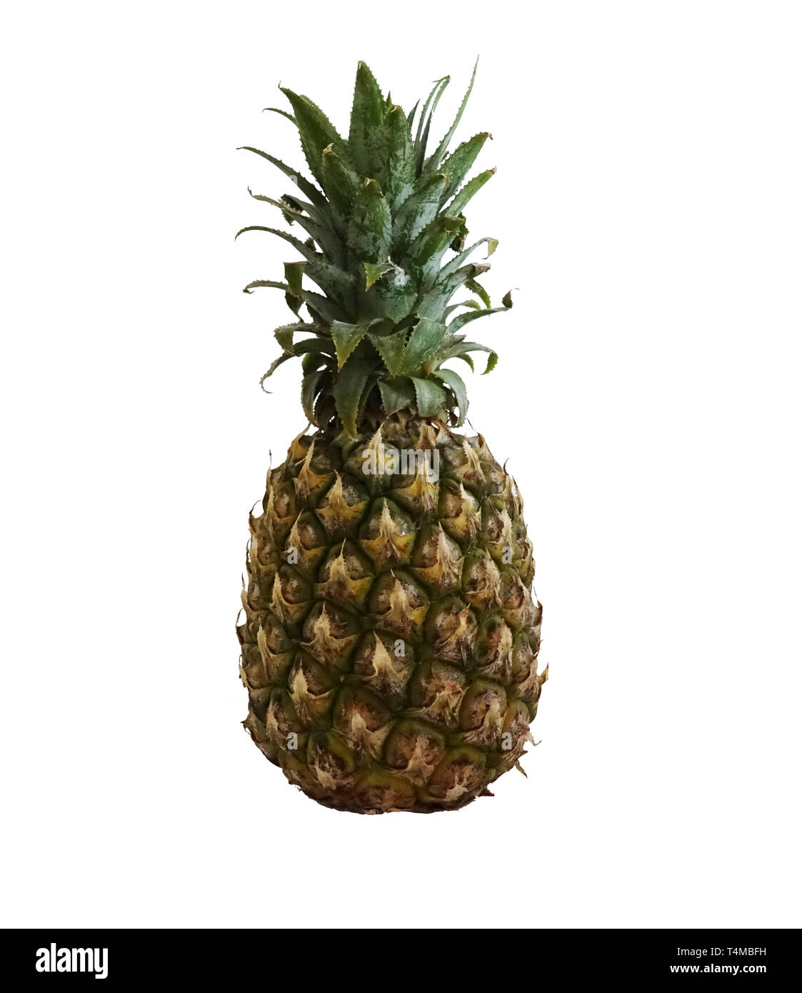 Pineapple, fresh tropical fruit, isolated on white background, stand ...