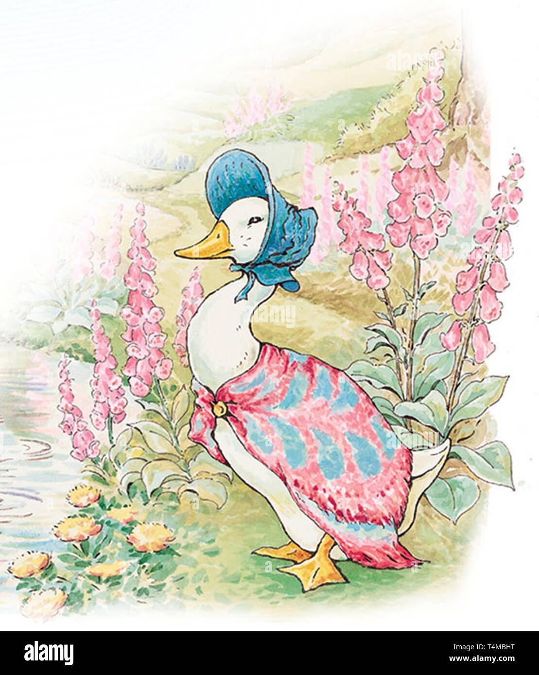 Beatrix Potter Illustration Cut Out Stock Images & Pictures - Alamy