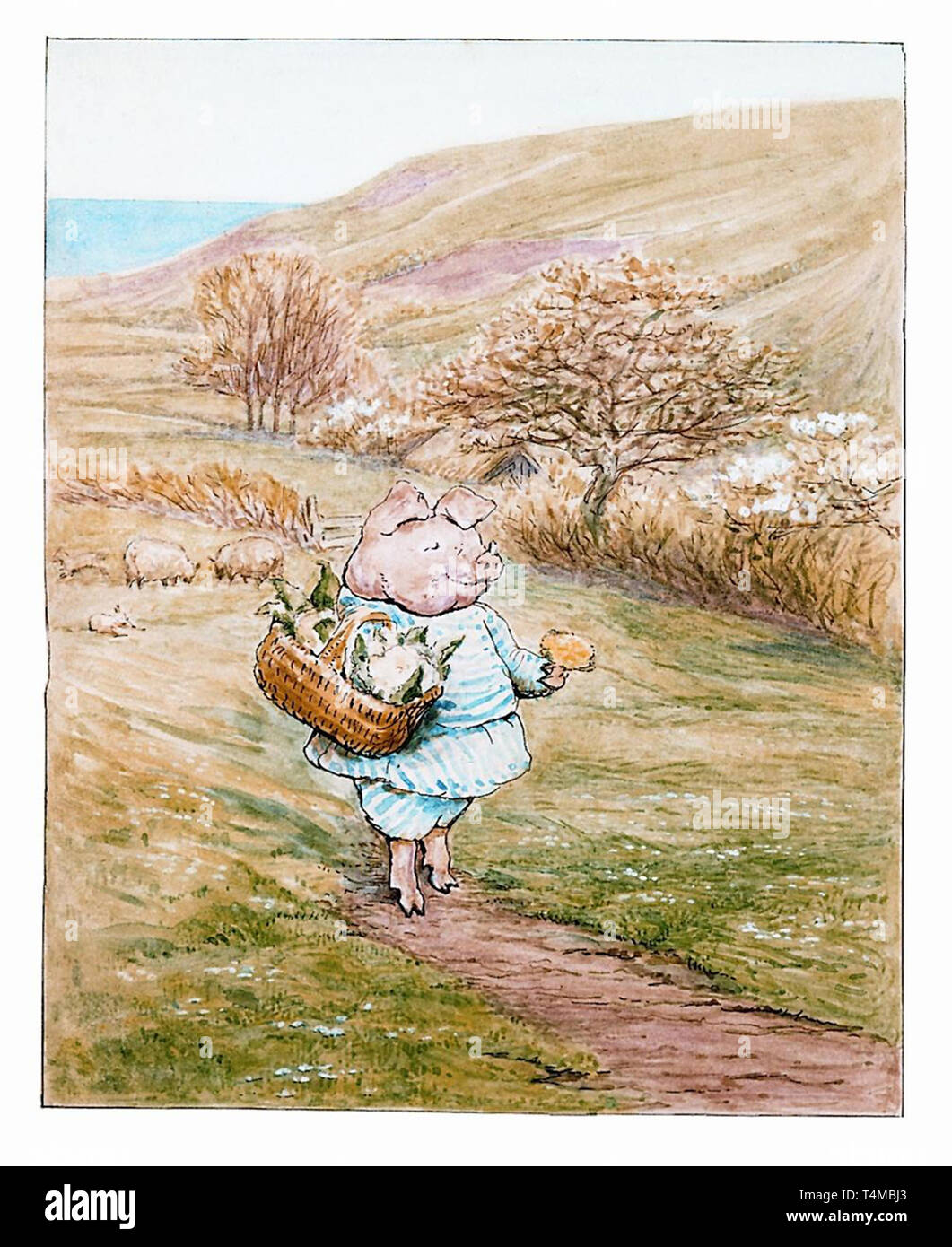 Beatrix Potter Illustration Cut Out Stock Images & Pictures - Alamy