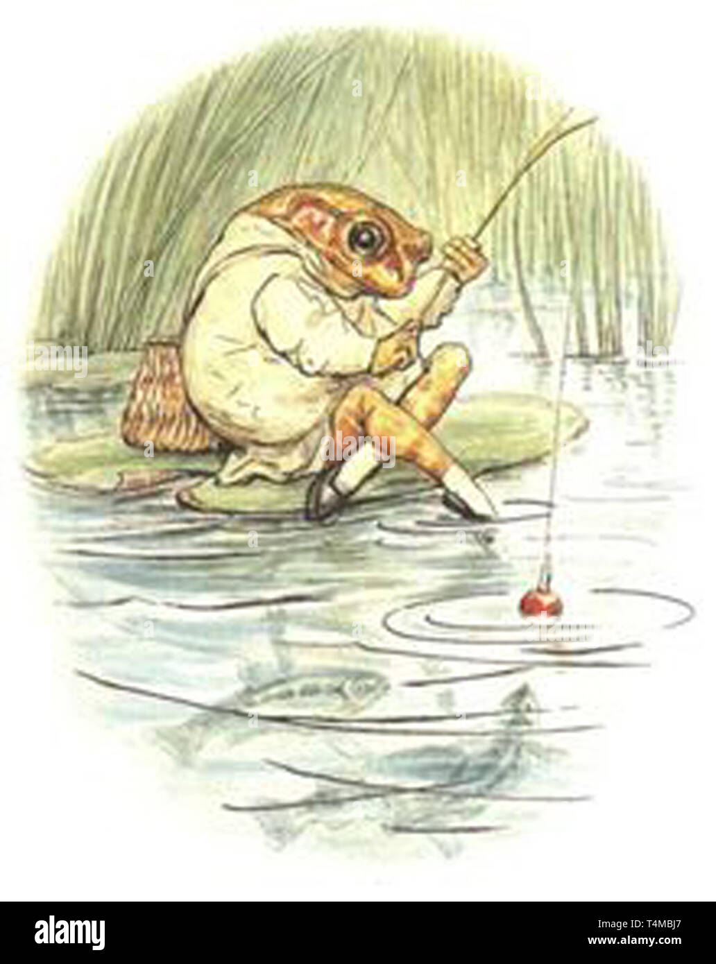 Beatrix Potter Illustration Frog High Resolution Stock Photography and ...