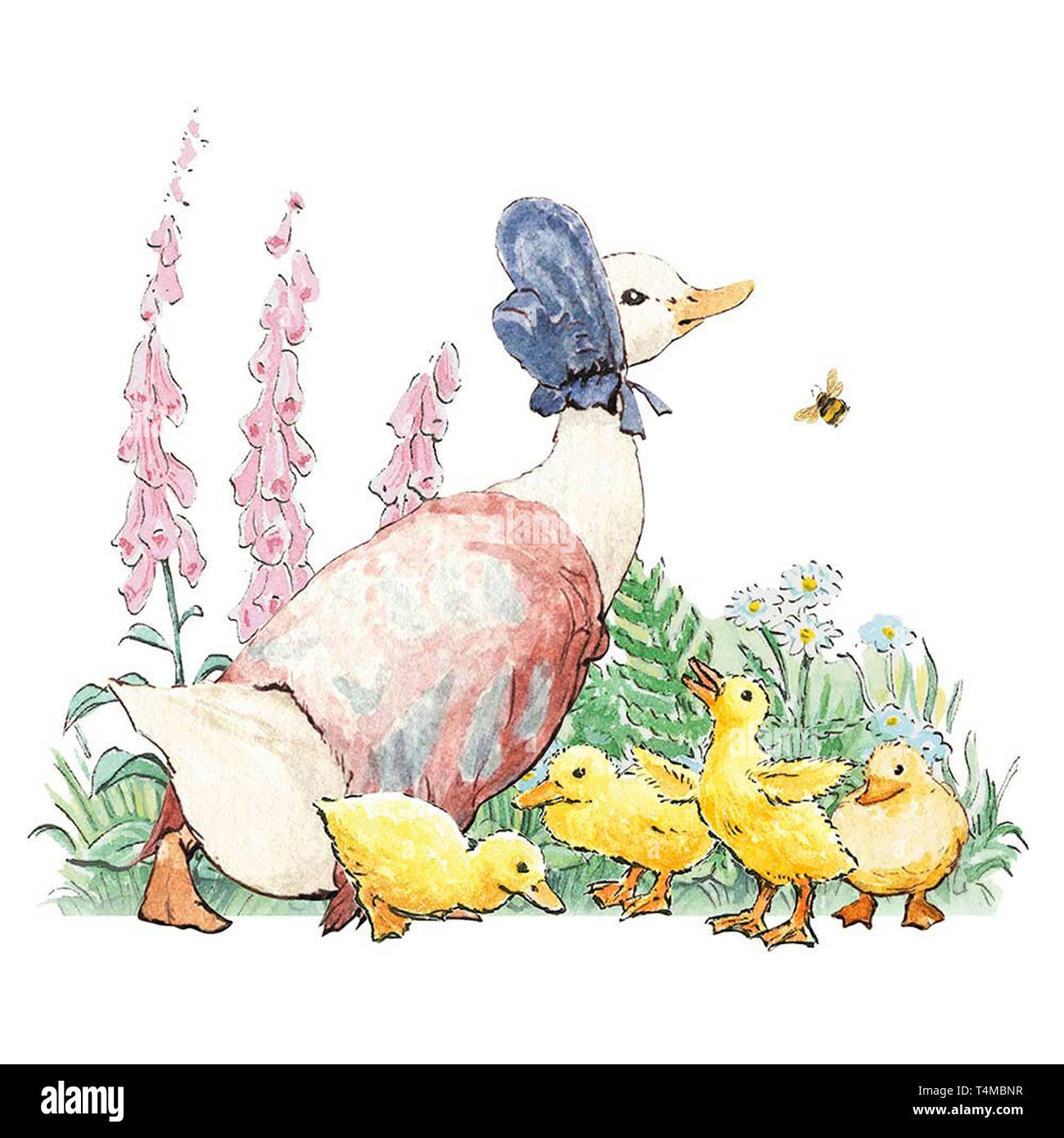 Beatrix Potter Illustration Cut Out Stock Images & Pictures - Alamy