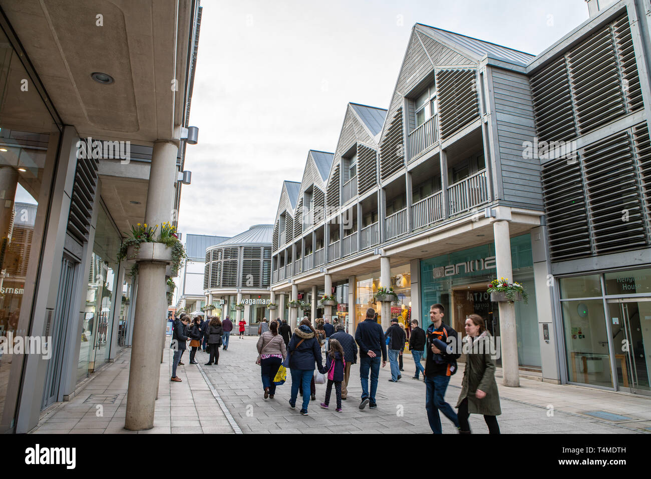 Apex consumer hi-res stock photography and images - Alamy