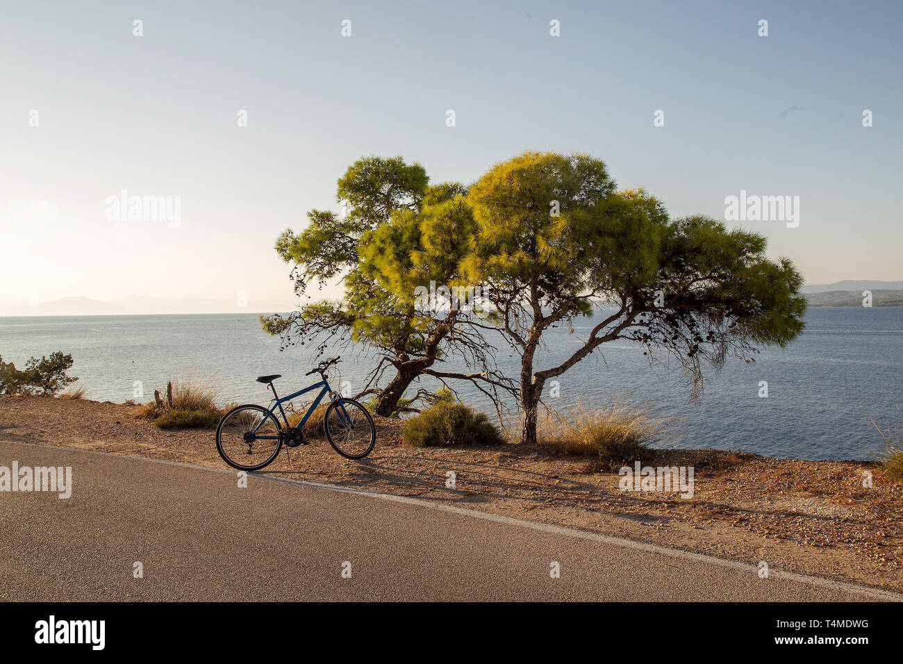 Bicycling is a good and environmentally friendly means of transport on ...