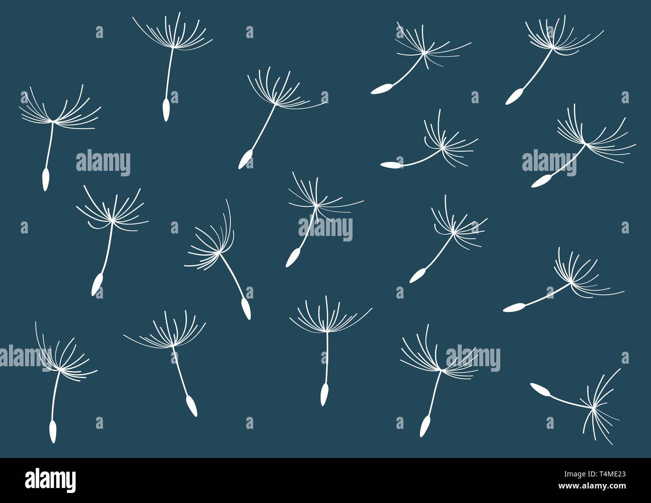 Blowing the seeds of a dandelion flower Stock Vector Images - Alamy
