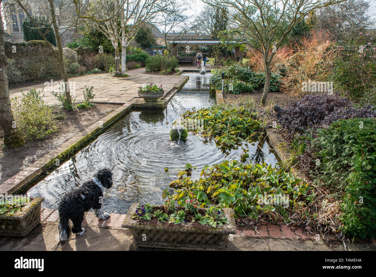 Abbey Gardens,Bury St Edmunds, Suffolk, UK Stock Photo - Alamy