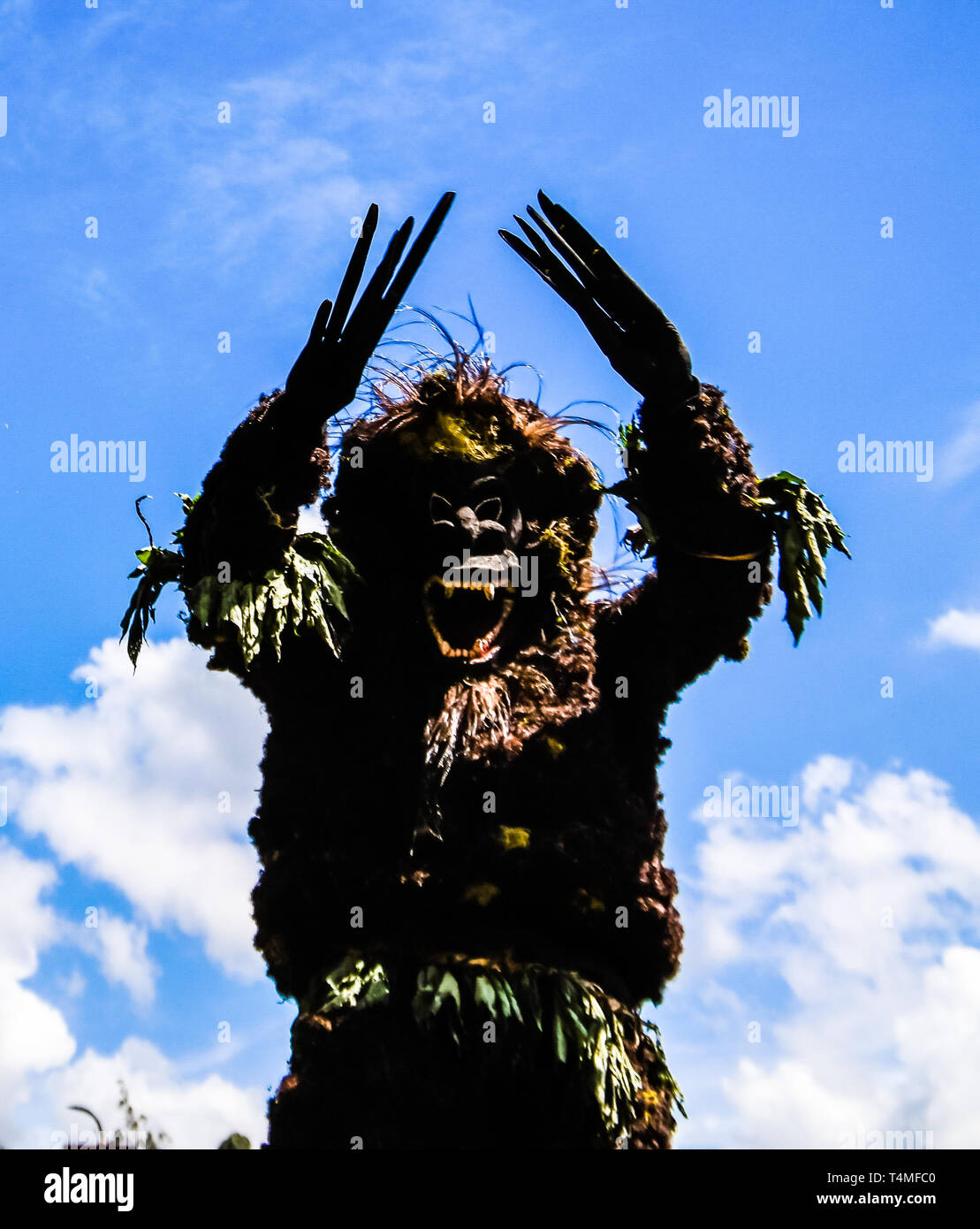 Participants of the Mount Hagen local tribe festival -17-08-2014- Mount ...